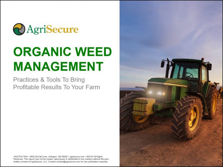 A Farmer's Guide for Controlling Organic Weeds | AgriSecure