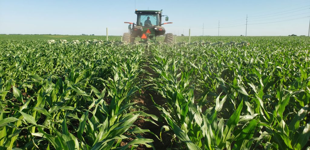 Sustainable Success with Organic Row Crops - AgriSecure
